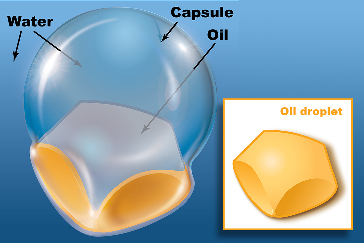 Scientific Illustration – Media Solutions – UW–Madison